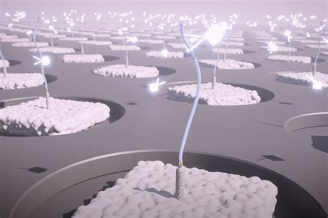 Animation Quantifying Proteins On The Nautilus Proteome Analysis Platform ~ Nautilus Biotechnology