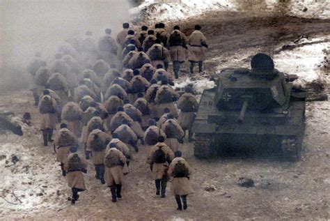 Battle Of Stalingrad Casualties
