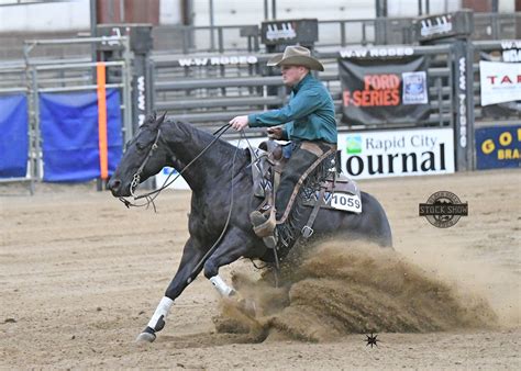 Aqha Reining Pattern 8