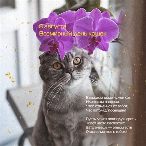 Открытка Всемирный день кошек 8 августа