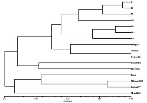 The Upgma Dendrogram Computed Using Genetic Distance Matrix Based On
