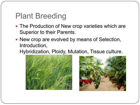 Plant Breeding Methods Pptx