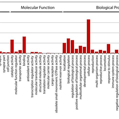 Go Annotation Of Symbiotic Nematode Specific Transcripts Wego Web