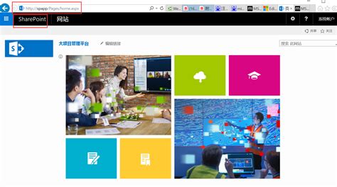 Sharepoint 2016 企业项目管理应用（四，配置网站和project For Sharepoint） Csdn博客