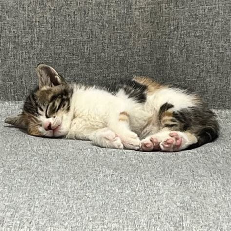 보름이 Bormy • Threads Say More