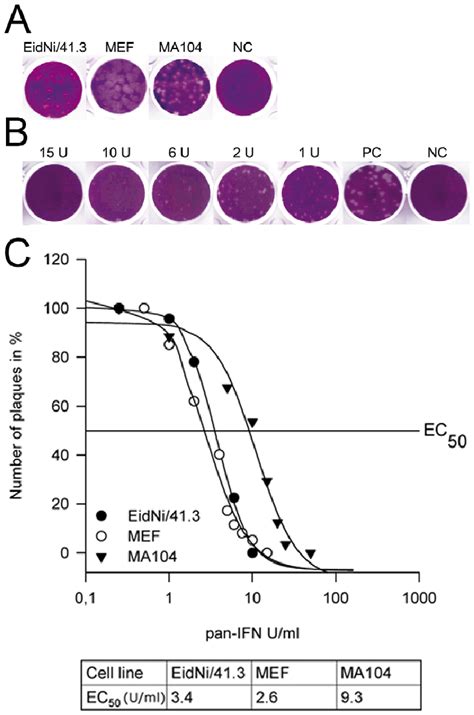 Interferon Quantification And Calibration By Vesicular Stomatitis Virus Download Scientific