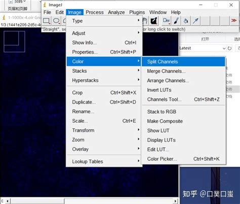 使用imagej读取oir文件，并导出tiff文件方法 知乎