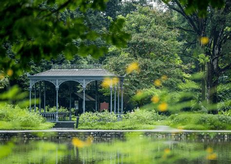 Our Ultimate Guide To Singapore Botanic Gardens Honeycombers