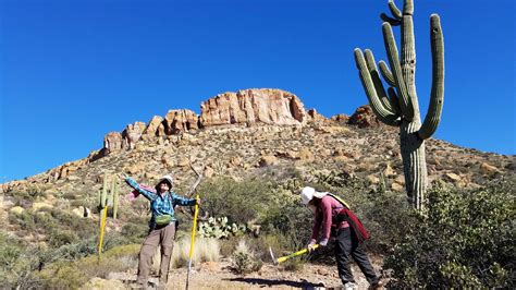 Tonto National Forest Arizona National Scenic Trail American Hiking