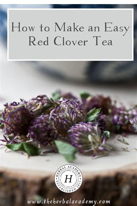 Red Clover Red Clover Bring Healing On Over Red Clover Tea Recipe