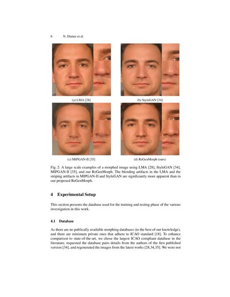 Regenmorph Visibly Realistic Gan Generated Face Morphing Attacks By Attack Re Generation Deepai