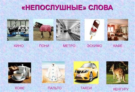 Картинки несклоняемых существительных для дошкольников