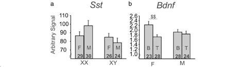 Interactions Of Sex Related Factors On Expression Of Gaba And