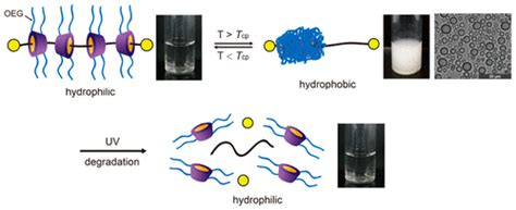 Oegylated Cyclodextrin Based Polyrotaxanes Showing Remarkable Thermoresponsive Behavior And