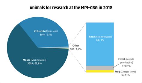 Animal Testing Statistics