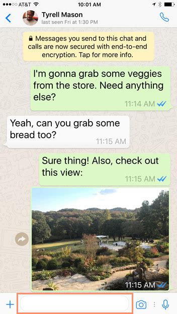 Whatsapp Text Messaging