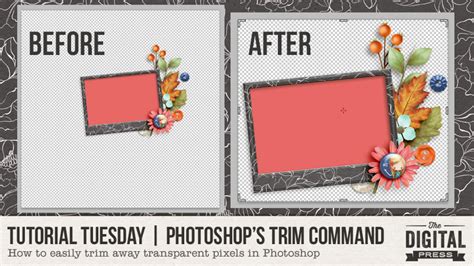 Tutorial Tuesday Using The Trim Command In Photoshop The Digital Press