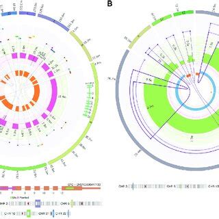 Complex Event Visualization Download Scientific Diagram
