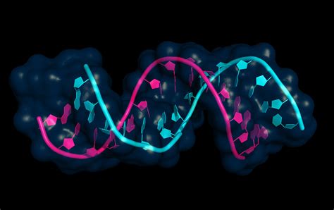Global Transcriptomics Technologies Market 283 Billion By 2033