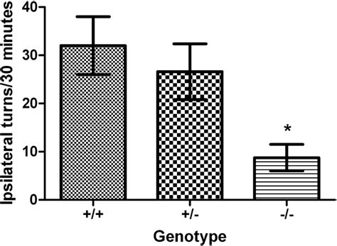 Evaluation Of Apomorphine Induced Circling Behavior In Knock Out