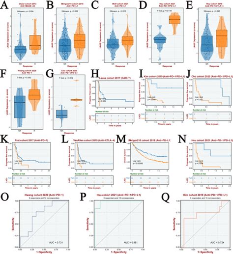 Multomic Analysis Reveals The Potential Of Lag3 As A Prognostic And Immune Biomarker And Its