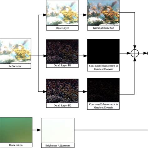Proposed Retinex Based Algorithm Using Gamma Correction For Underwater