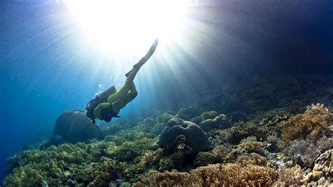 Australian Man Dies In Horror Bali Scuba Diving Incident Au — Australias Leading