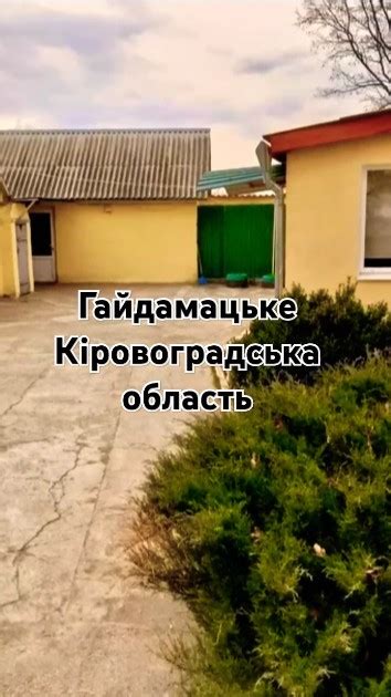 Всі зручності Будинок з ремонтом Газ Гайдамацьке Кіровоградська область