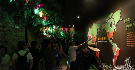 와인 전시·시음·체험·판매 한곳서영동와인터널 개장