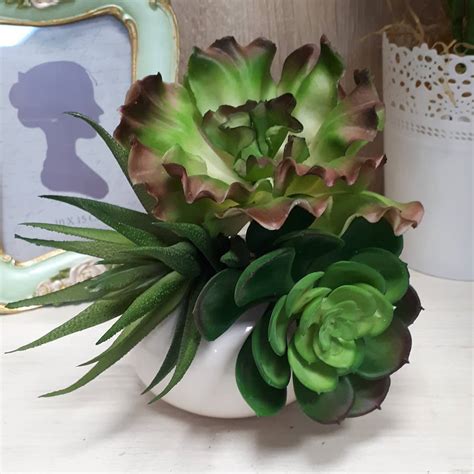 Магазин "Купеческая лавка" - В продаже🍀 интерьерные сукуленты ...