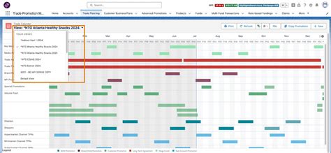 Manage Promotions And Account Plans Salesforce Trailhead