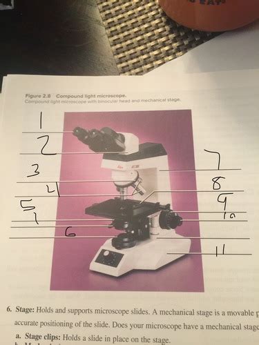 Biology Lab Test 1 Flashcards Quizlet