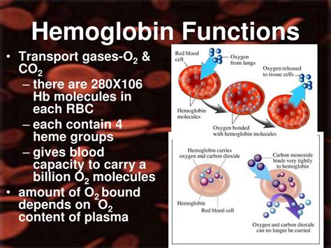 Ppt Blood Powerpoint Presentation Free Download Id1460255