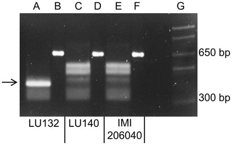 Genome Scale Investigation Of Phenotypically Distinct But Nearly Clonal Trichoderma Strains [peerj]