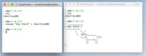 Your Terminal Is Not A Terminal An Introduction To Streams