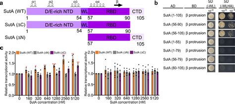 The Requirement Of Suta Domains In Rnap Interaction And Transcription