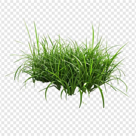 Grass Download Psd High Quality Free Psd Templates For Download Freepik