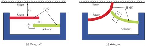 Computational Model Of An Ipmc Based Tactile Sensor The System Download Scientific Diagram
