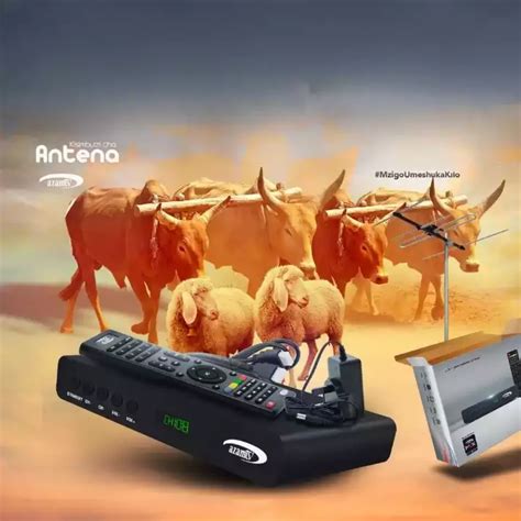 Vingamuzi Vya Azam Azam Decoder In Tanzania 2026 Tanzania Tech