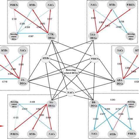 Direct Graph Of The Partial Least Squares Structural Equation Modeling Download Scientific