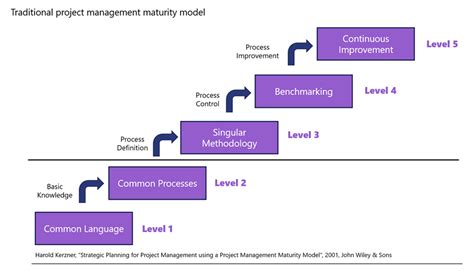 Supporting All Levels Of Maturity In Project Management Sensei Project Solutions