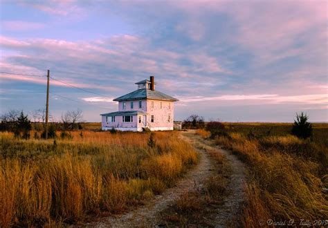 Plum Island Pink House 1 Pink Houses Plum Island Scenery