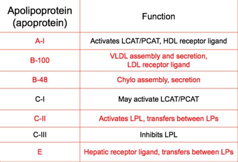 Lipoproteins Flashcards Quizlet