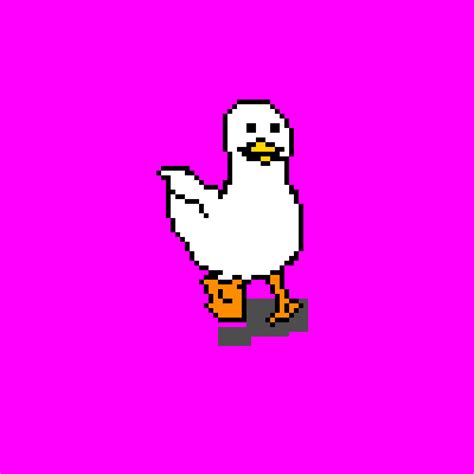 Animated Duck 