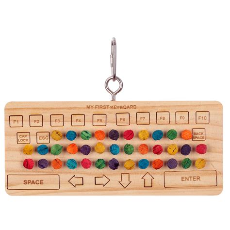 Birdie Keyboard Todd Marcus Bird Exotic