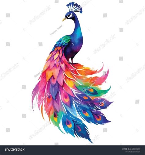 Vector Beautiful Watercolor Blue Peacock Stock Vector Royalty Free