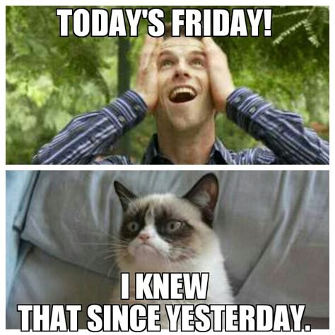 Grumpy Cat Weekend Meme