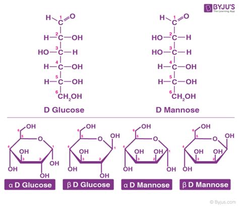 Sources Of Carbohydrates Complex Carbohydrates Basic Food Groups Energy Providers Chemical