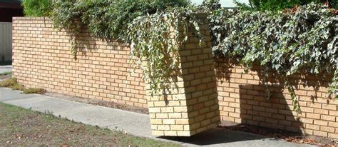 Tanya Lee And Simone Johnston Pica