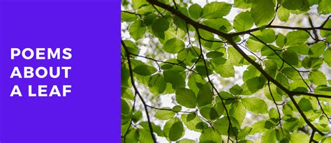 Rhyming Words For Leaf At Lee Porter Blog